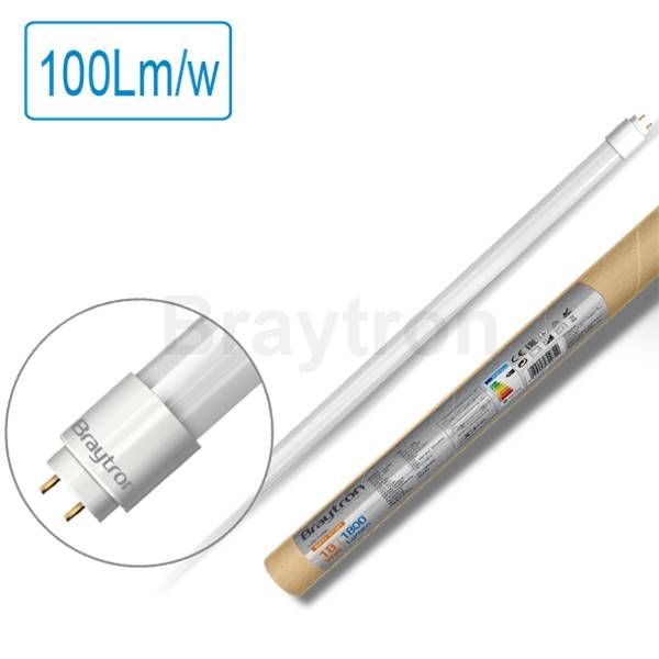 LED CEV 18W 1,2M T8 6500K BRY - Ilumina